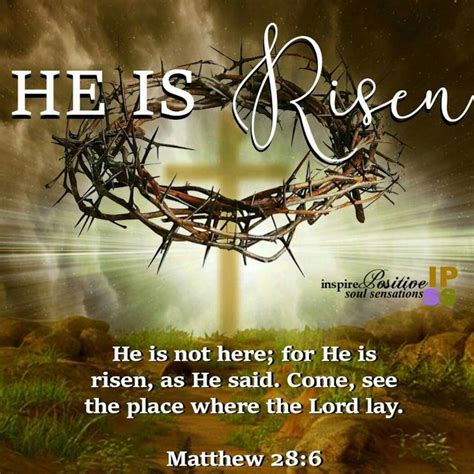 Matthew 286 Amen Happy Easter Quotes Jesus Christ Christian