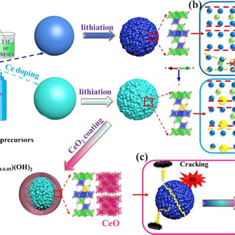 A Schematic Diagram Of Preparation Process For Ncm Ncm C And Ncm Cco