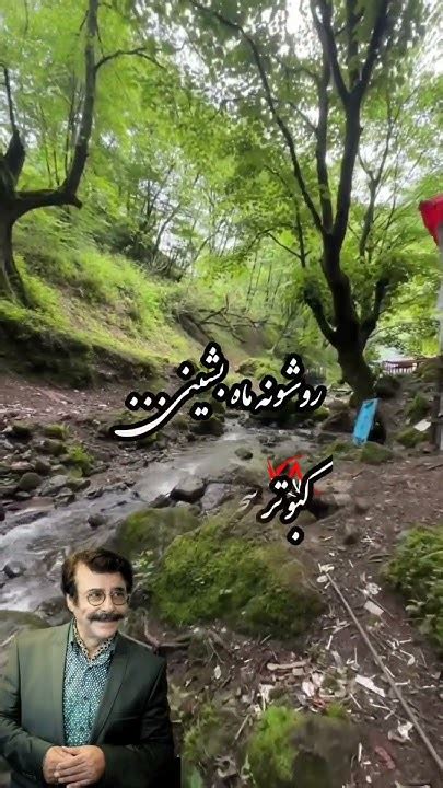 چلچله ازآلبوم شکوه عشق استاد علیرضاافتخاری اثری از فریدونخشنود افتخاری موسیقی Music