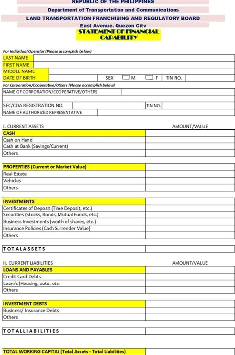 Financial Capability Statement Templates Free Report Templates