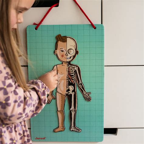 Урок по анатомия Крокито