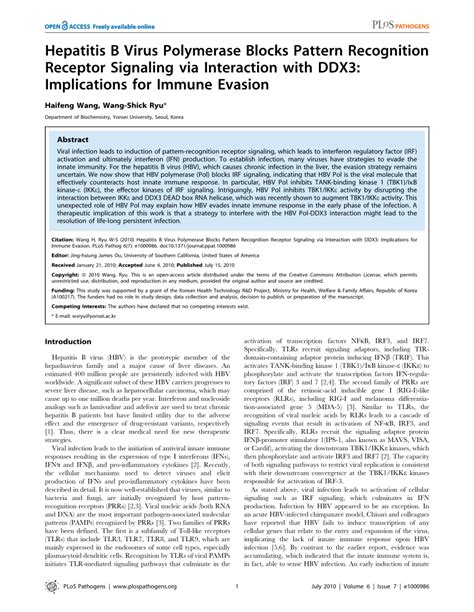 Pdf Hepatitis B Virus Polymerase Blocks Pattern Recognition Receptor