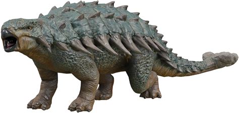 Adult Bumpy 3 Blank Template Imgflip