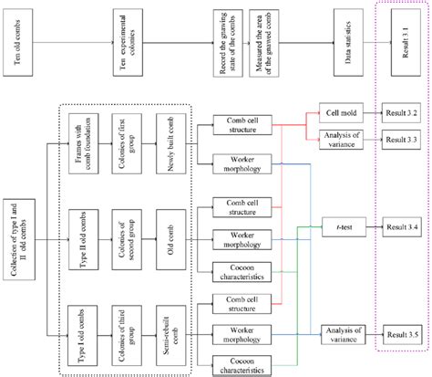 A Flowchart Shows The Experimental Steps The Black Dotted Box