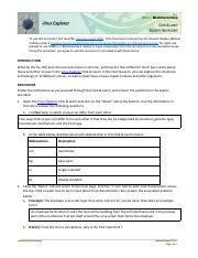 Virus Explorer Abbreviated Babe Worksheet Pdf To Use This Document First Read The