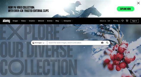 Alamy Affiliate Program All You Need To Know 2024