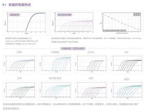 Fast Real Time Pcr Platform