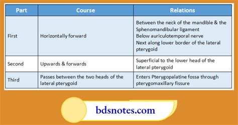 Temporal And Infratemporal Regions Bds Notes
