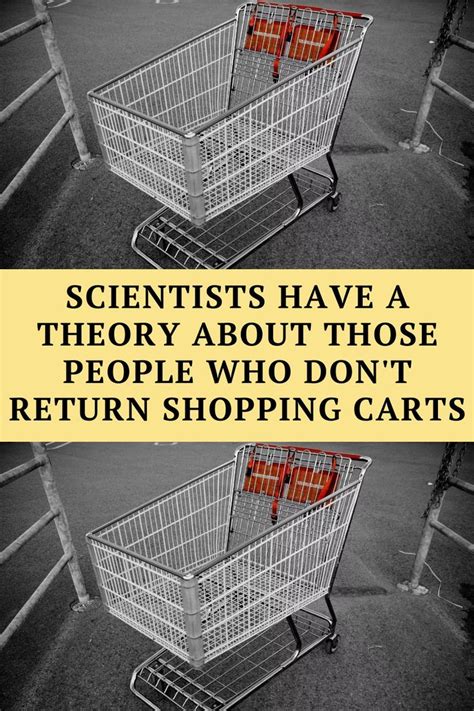 Shopping Cart Return Theory At Arnulfo Vickie Blog
