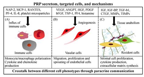 Prp Injection Nezeal Medical And Aesthetic Clinic