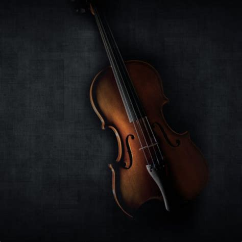 Liang Zhang Professor Full Bsc Phd Fudan University Shanghai School Of Computer