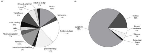 Functional Classification And Subcellular Localization Of Identified