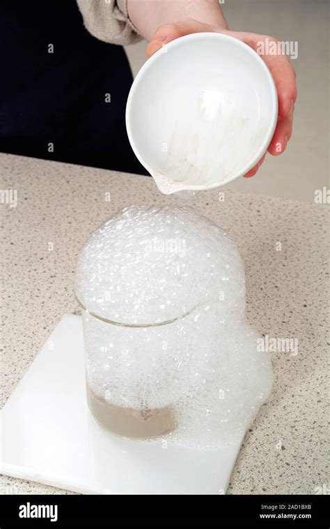 Catalase Enzyme Experiment Chopped Liver Being Used To Demonstrate The Action Of The Enzyme