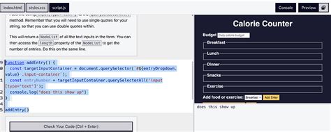 Learn Form Validation By Building A Calorie Counter Step 42