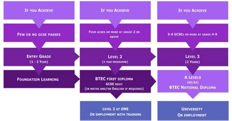 alternatives to a levels vocational qualifications pmt education