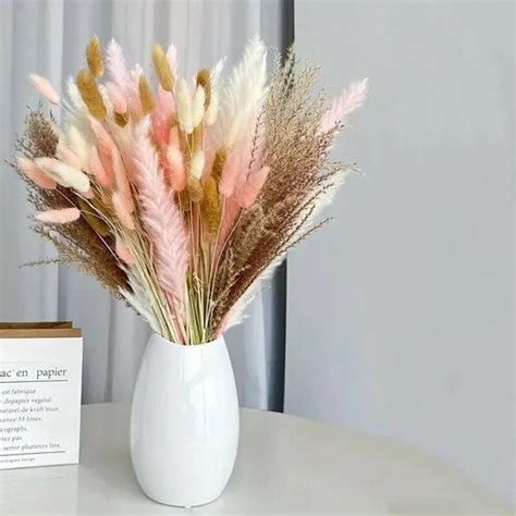 Сухоцветы Стабилизированные цветы недорого в Минске