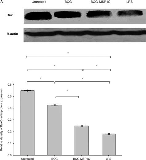Figure 1 From Apoptosis Activity Of The Mouse Macrophage Cell Line