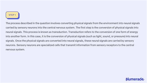 ⏩solvedwhat Process Converts Physical Signals From The Environment ⏩solvedwhat Process Converts Physical Signals From The Environment