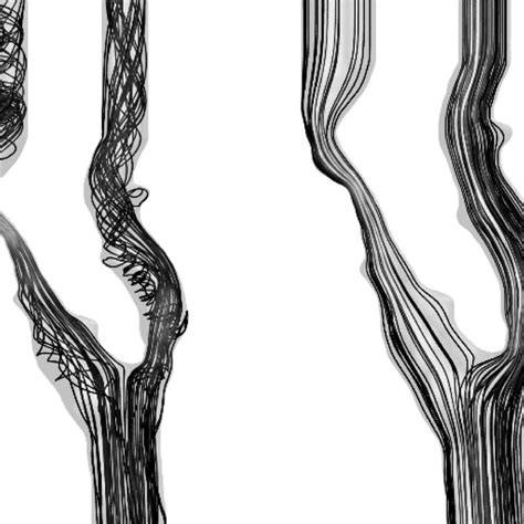 Flow Pathlines For The Artery And Pseudo Arteriole Download Scientific Diagram