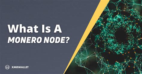 what is a monero node