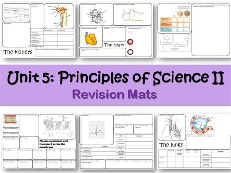 BTEC Applied Science Unit Bio Revision Mats Teaching Resources