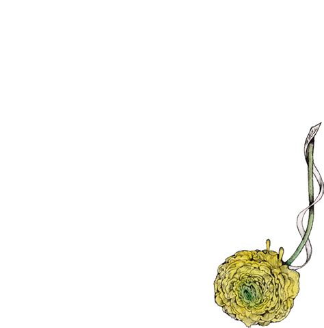 作品集『新装版 Babel Higuchi Yuko Artworks』｜ヒグチユウコ Higuchi Yuko Official Website