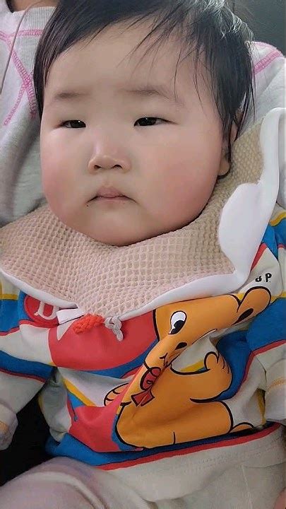 꾸벅꾸벅 또기는 잠이 와요👶 Youtube