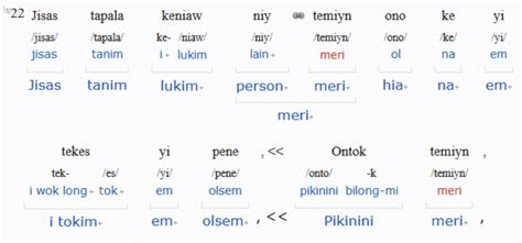 Create Custom Interlinear Texts With Paratext