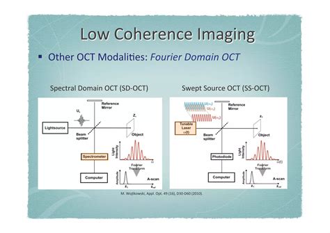 Low Coherence Interferometry From Sensor Multiplexing To Biomedical Imaging Pdf Physics