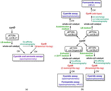 Summary Of The Methods Used For The Production Purification And