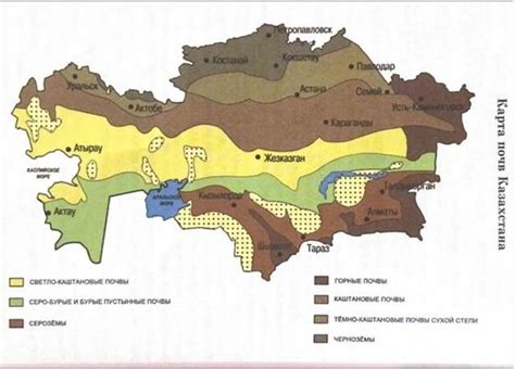 Типы почв в Казахстане
