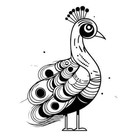 Premium Vector Peacock Vector Illustration Isolated On White Background