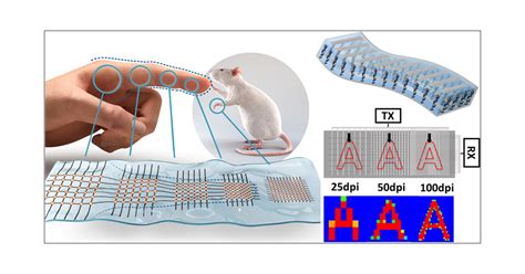 Nonpatterned Soft Piezoresistive Films With Filamentous Conduction