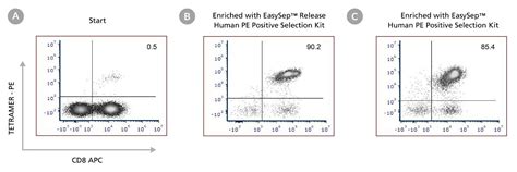 How To Isolate Antigen Specific T Cells