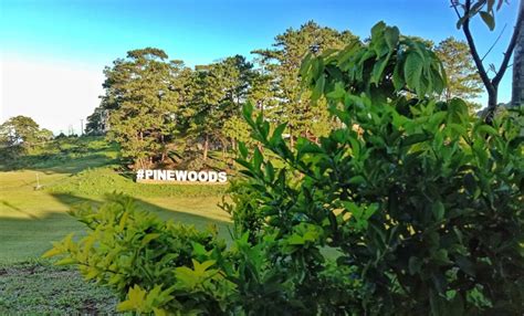 필리핀 바기오골프장 온라인부킹 신청서바기오골프장예약바기오골프장부킹바기오골프투어바기오골프여행