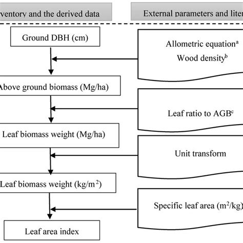 Workflow For The Generation Of The Plot Based Leaf Area Index Lai