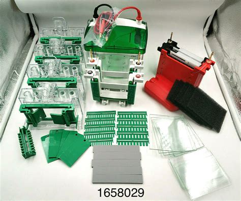 Oem Parts For Bio Rad Mini Protean Tetra Cell And Mini Trans Blot Module 1658029 Gemen Lab