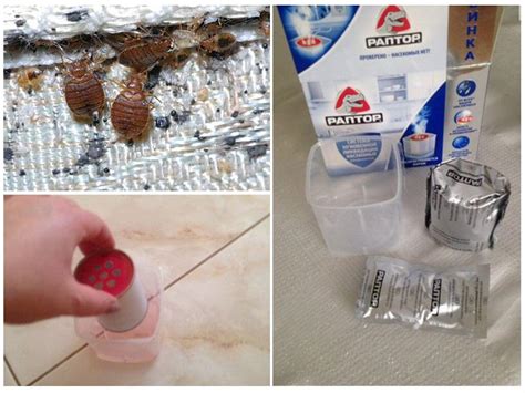 Аквафумигатор Раптор от клопов и его аналоги – отзывы, инструкция по ...