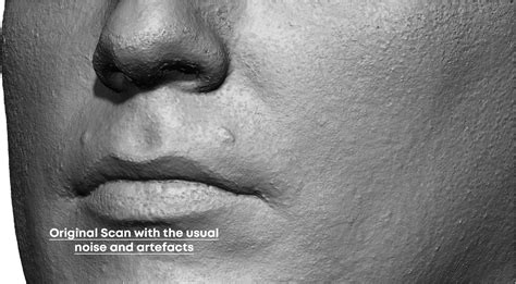 3d Scan Processing Digital Reality Lab