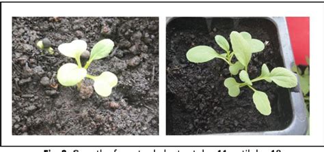 Figure 9 From Aquaponic Ecosystem Monitoring With Iot Application Semantic Scholar