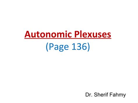 Fixation Of The Heart Sympathetic Chain Autonomic Plexuses And Lymphatic Drainage Anatomy Of