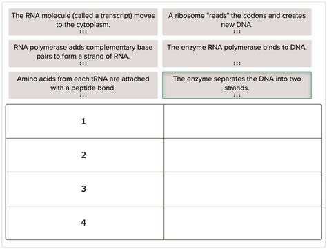 solved transcription is the beginning of protein synthesis some of