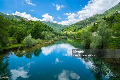 몬테네그로 푸른 하늘과 스카다르 호수 국립 공원 풍경의 녹색 자연 그대로의 자연 풍경을 통해 흐르는 Crnojevica 강의 잔잔한 물 0명에 대한 스톡 사진 및 기타