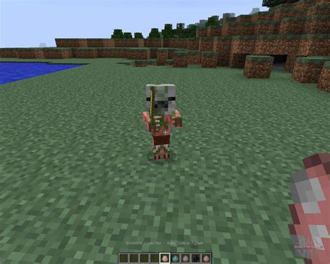 Better Spawn Eggs [1 7 2] For Minecraft
