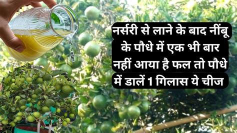 गन्ना किसानों की चांदी कर देगी यह मशीन गन्ना गुड़ बनाने के लायक है या नहीं तुरंत बता देगी