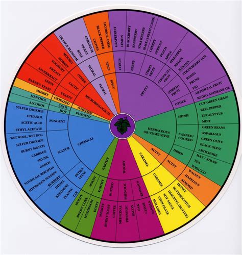 Whats That You Taste A Wine Tasting Wheel R Infographics
