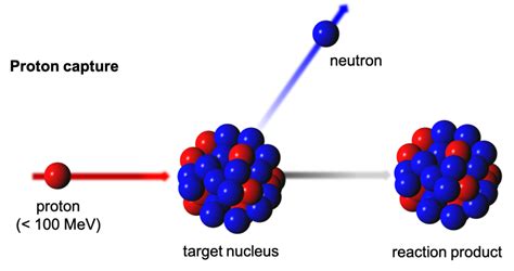 Neutron Facilities Elena Neutron