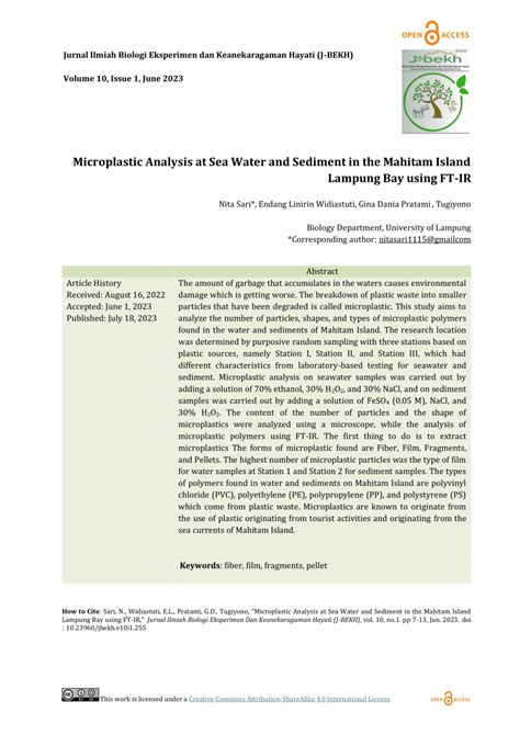 Pdf Microplastic Analysis At Sea Water And Sediment In The Mahitam Island Lampung Bay Using Ft Ir