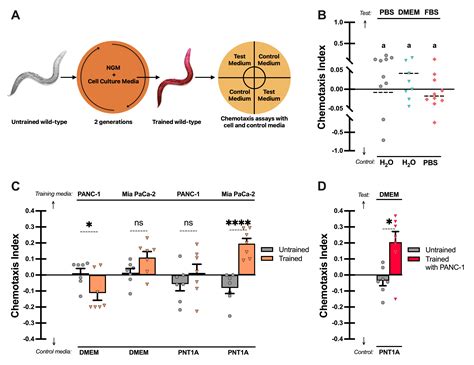 301 Moved Permanently
