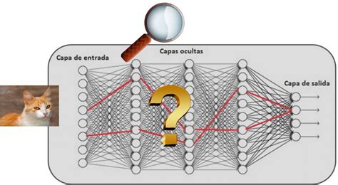 Aumentando La Explicabilidad De Los Algoritmos De Machine Learning Meta Learning Lab